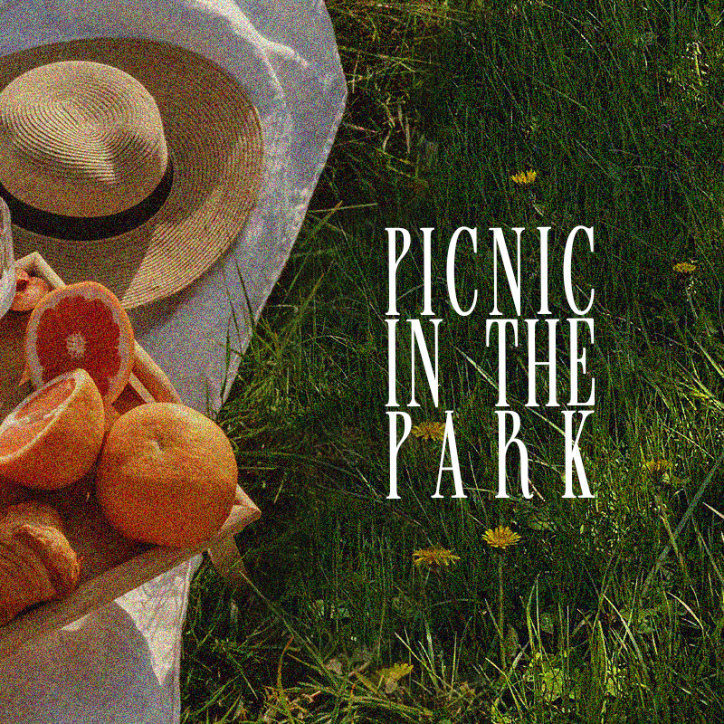 Picnic In The Park – Citipointe Church
